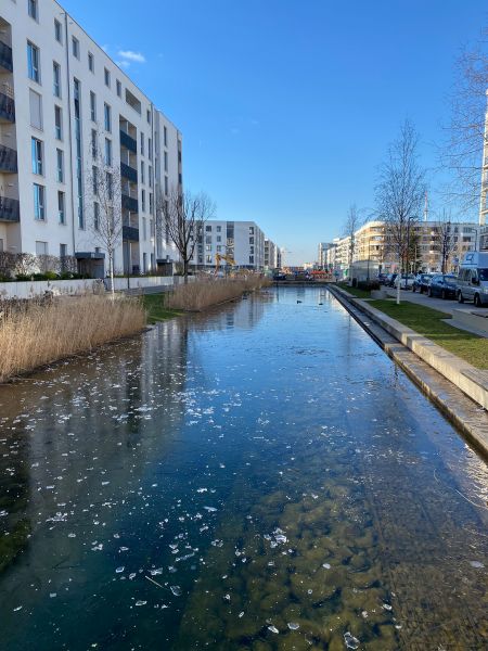 Die Bahnstadt wächst auch in Pandemie-Zeiten - Stadtteilverein ...